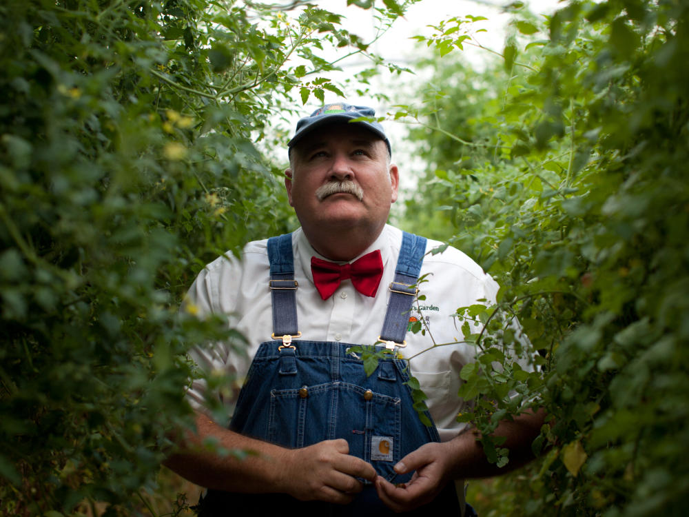 Meet The Most Pampered Vegetables In America meet-the-most-pampered-vegetables-in-america